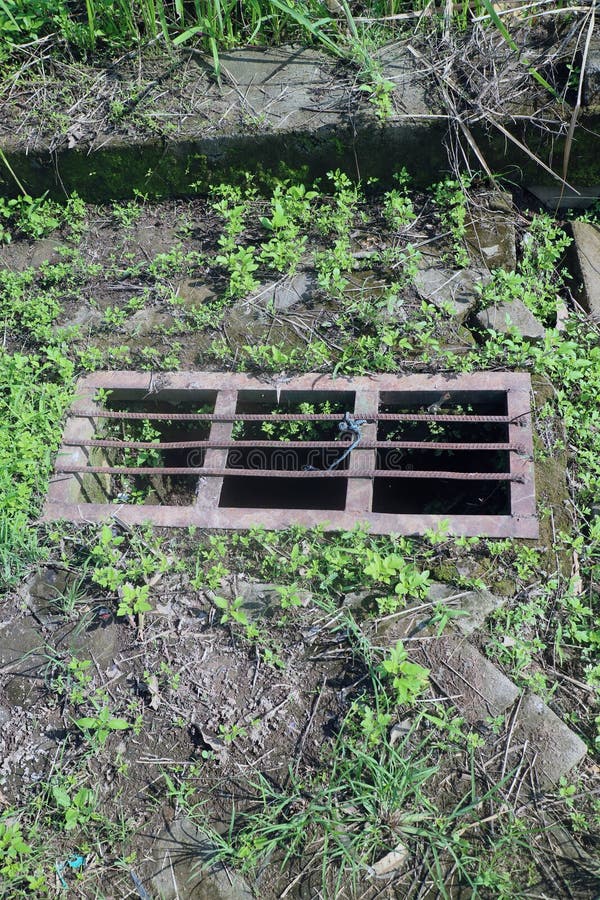 Open Drainage Grate Surrounded by Overgrown Grass Stock Image - Image ...