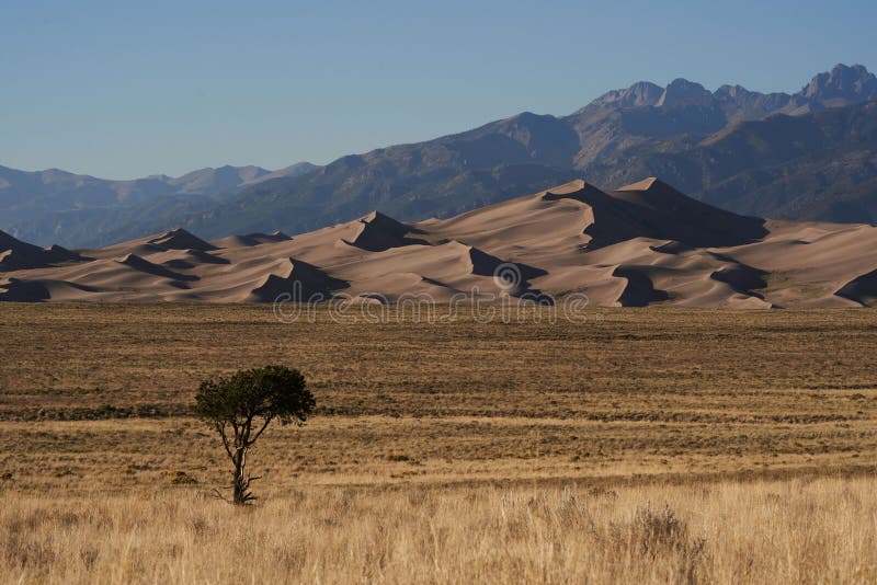 An Open Dry Grass Field with a Single Tree and Majestic Mountains in ...