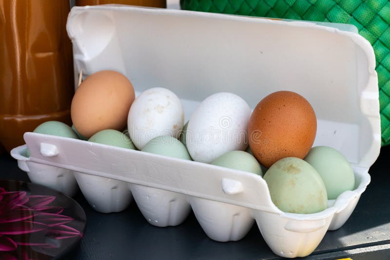 Open Egg Carton with Chicken Eggs Stock Photo - Image of organic, white ...