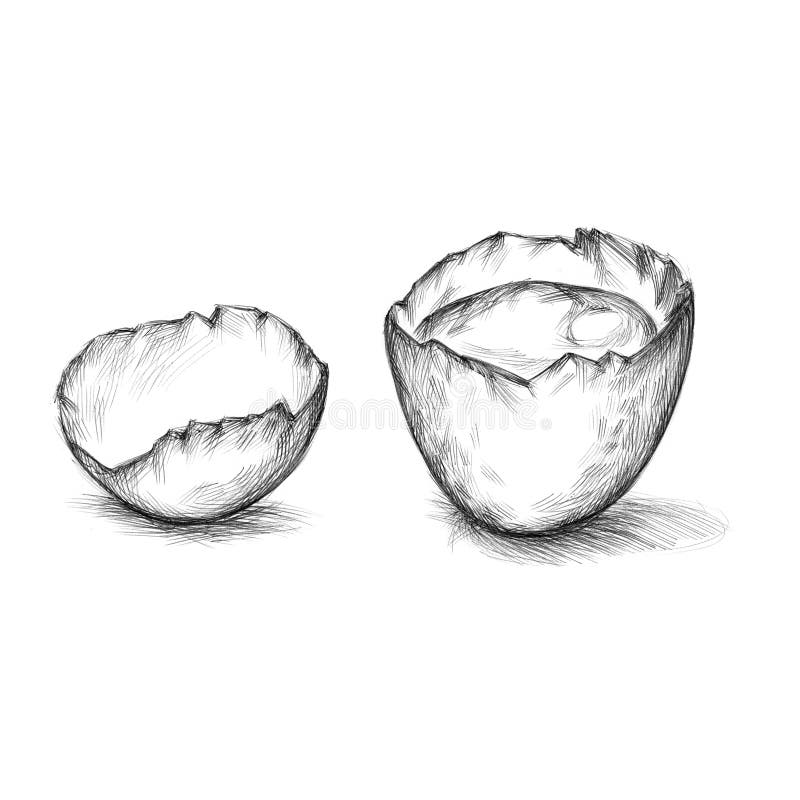 Opened Eggshell Stock Illustrations – 165 Opened Eggshell Stock ...