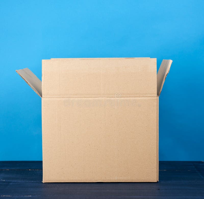 Rectangular Open Corrugated Paper Box with Sawdust Inside. Packaging ...