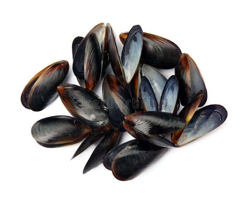 Open Empty Mussel Shells on White Background, Top View Stock Image ...