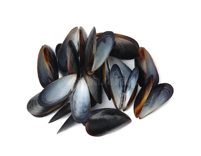 Open Empty Mussel Shells on White Background, Top View Stock Image ...
