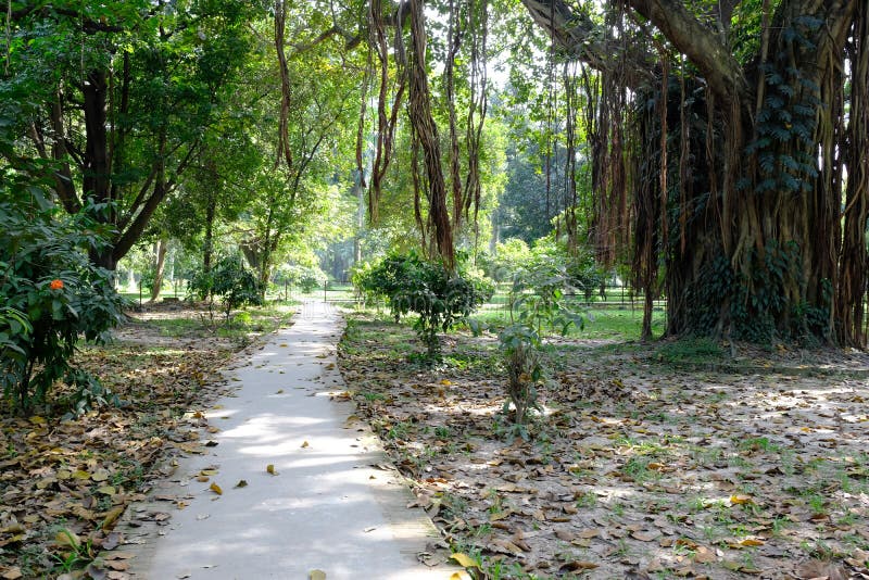 Open and Empty Parks with Old Trees. Stock Image - Image of tranquil ...