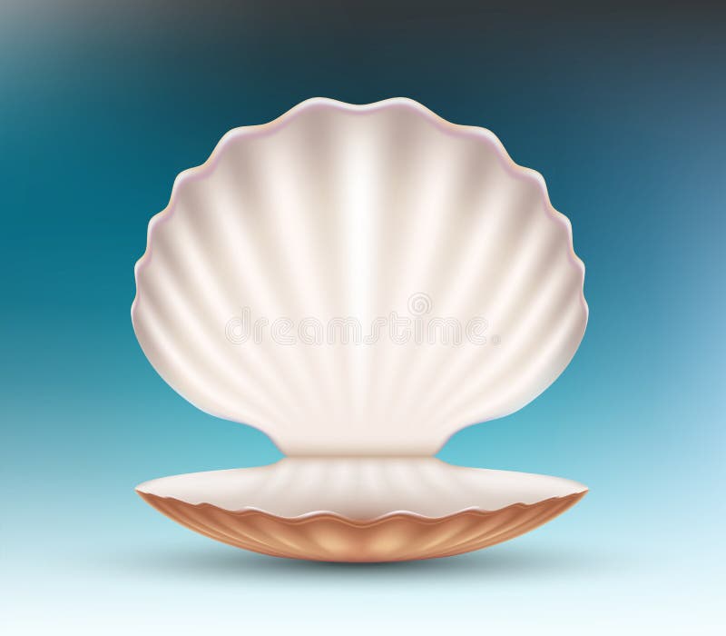 Seashell Nacre Stock Illustrations – 488 Seashell Nacre Stock ...