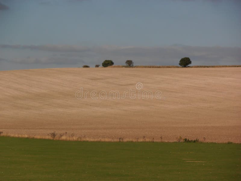 Open English Countryside stock photo. Image of grass - 152851040