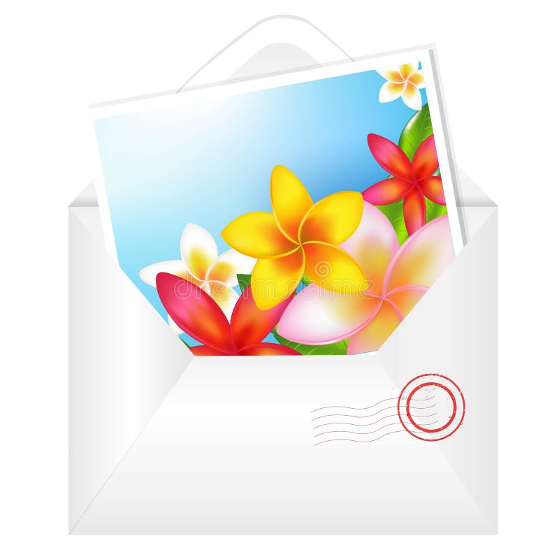 Open Envelope with Flowers Card Stock Vector - Illustration of nature ...