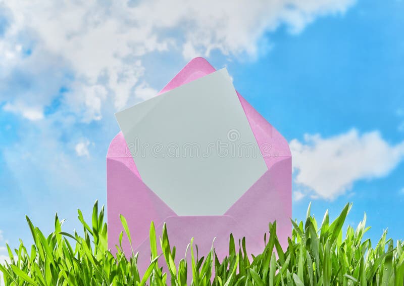 Open Envelope with Postcard in Grass Stock Photo - Image of postcard ...