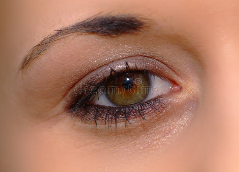 Open eye stock photo. Image of fashion, brown, eyeliner - 1515752