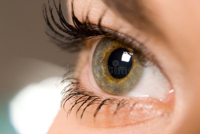 Open eye stock photo. Image of medecine, look, looking - 1742664