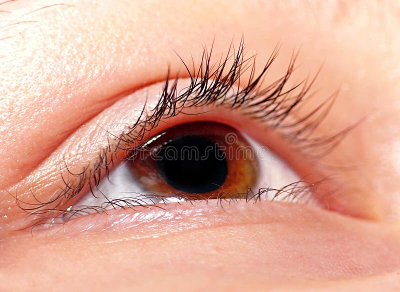 Open eye stock photo. Image of pupil, eyelash, look, iris - 17860822