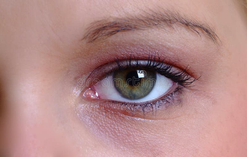 Open eye stock image. Image of gaze, fair, eyeball, eyelash - 1920721