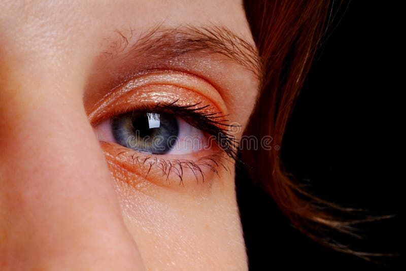 Open eye stock photo. Image of eyeshadow, edgewise, eyes - 3750926