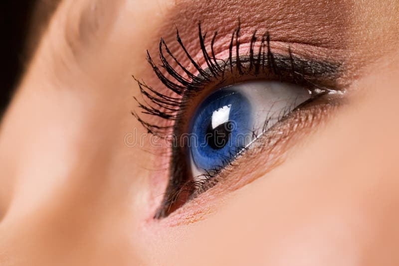 Open eye stock image. Image of observe, eyesight, eyelids - 2405219