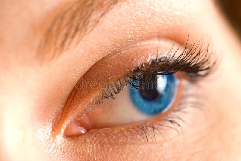 Open eye stock photo. Image of lashes, human, medic, macro - 4539116