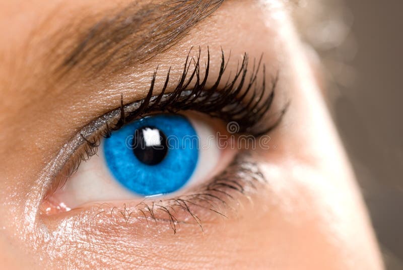 Open eye stock image. Image of look, lashes, medicine - 4651657
