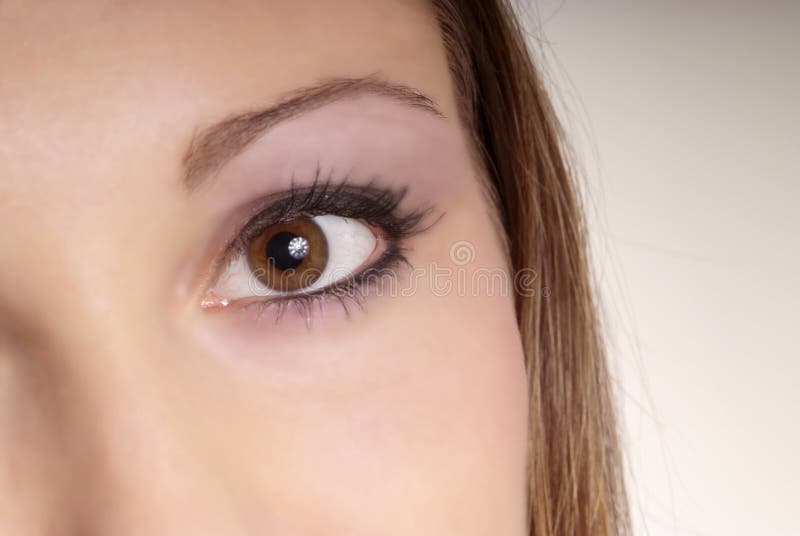 Open eye stock image. Image of look, opened, gaze, brown - 4718795