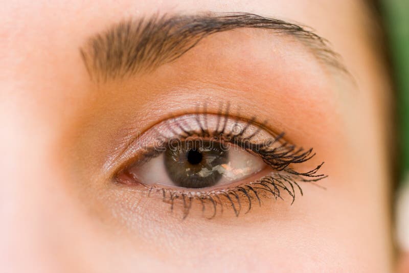 Open eye stock image. Image of medicine, open, observe - 6562941