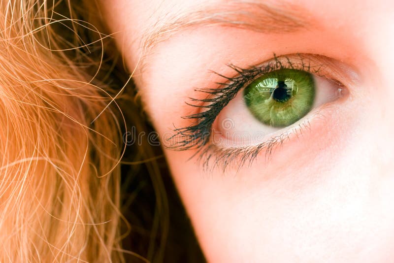 Open eye stock image. Image of looking, eyebrows, parts - 8132519