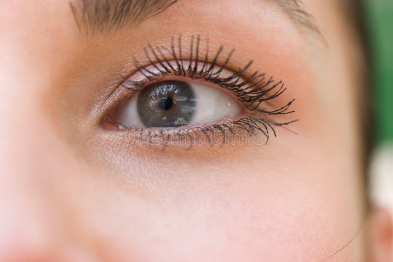 Open eye closeup stock photo. Image of eyelids, looking - 6939614