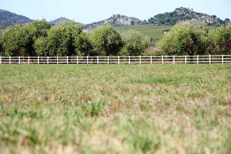 Open farm field stock photo. Image of ranch, nature, field - 4626718