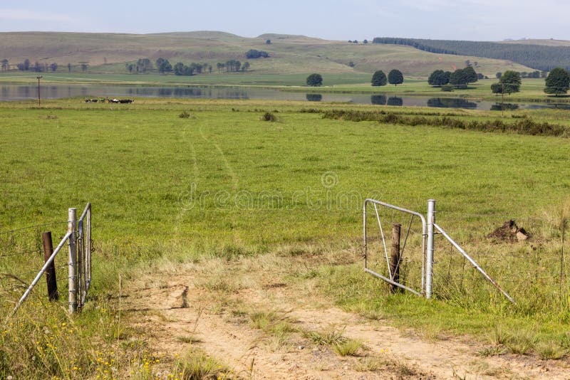 Open Farm Gate and Green Grass Stock Image - Image of open, farm: 97008171