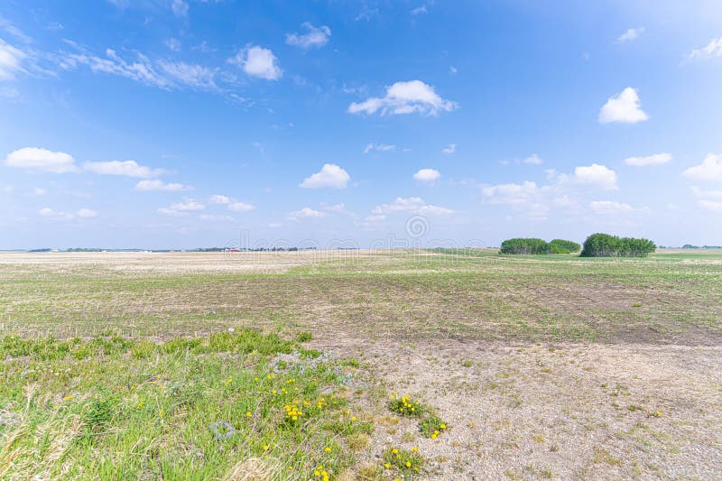 Gate in Rural Alberta Farm in Summer Stock Image - Image of clouds ...