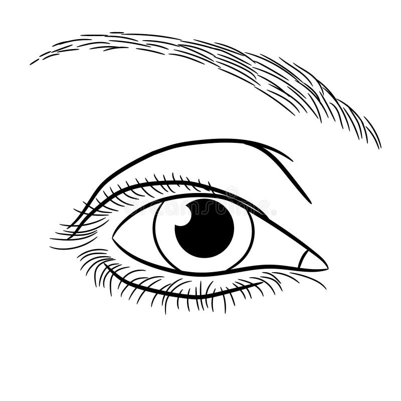 Open Female Eye Monochrome Vector Illustration Stock Vector ...
