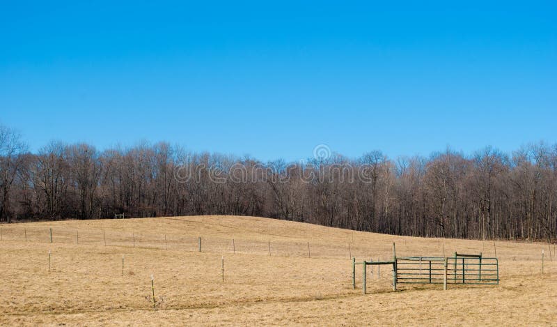 Open Field stock image. Image of copy, field, gate, open - 23232765
