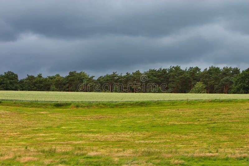 Open Field Wallpaper