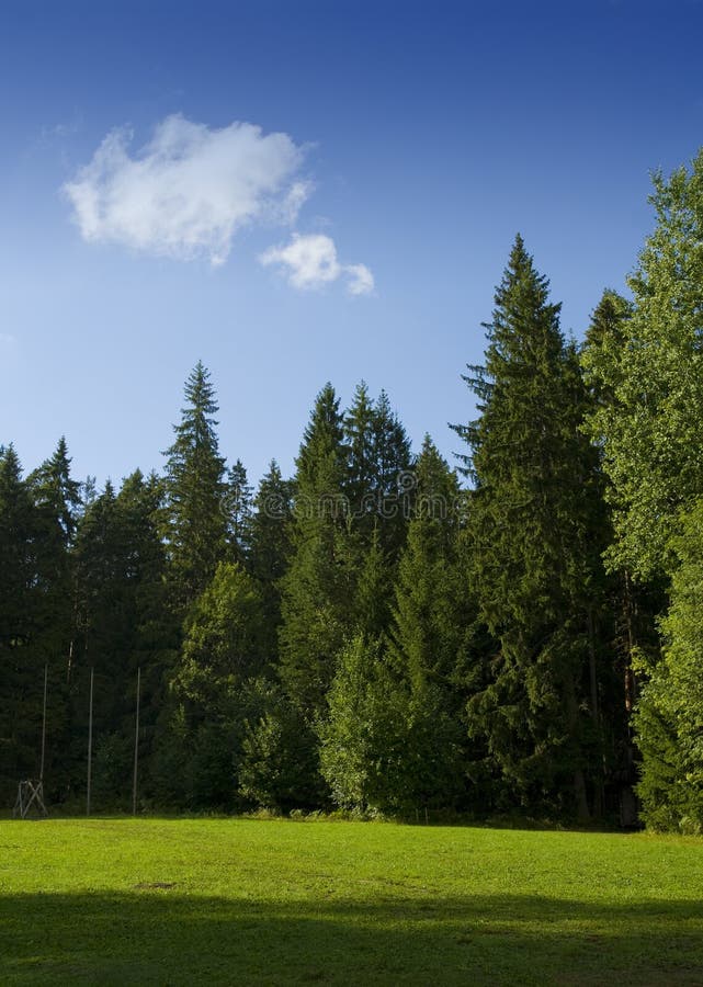 10,151 Green Field Surrounded Forest Stock Photos - Free & Royalty-Free ...