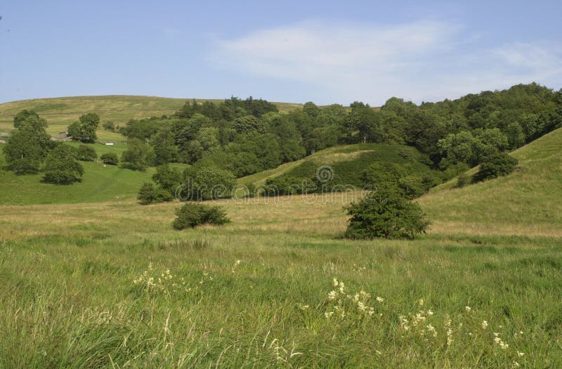 Open Field stock image. Image of cloud, grass, meadows - 512991