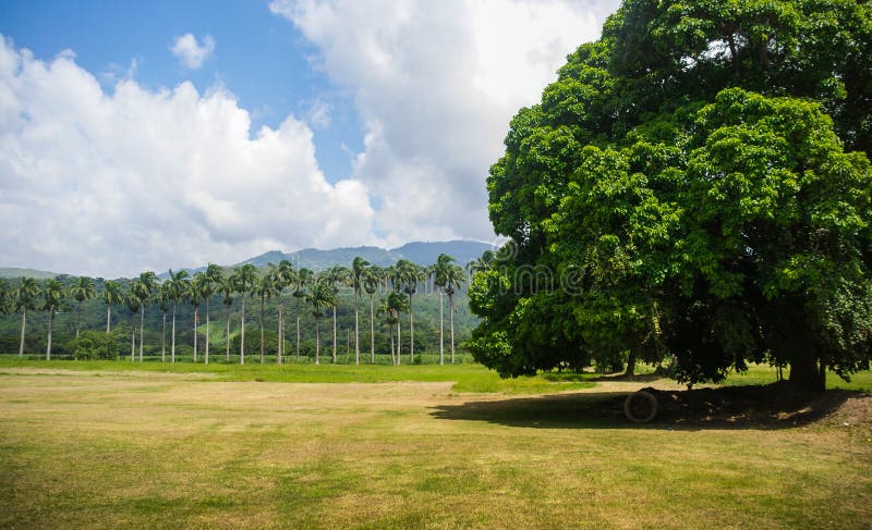 Open field stock photo. Image of clouds, trees, location - 83338294