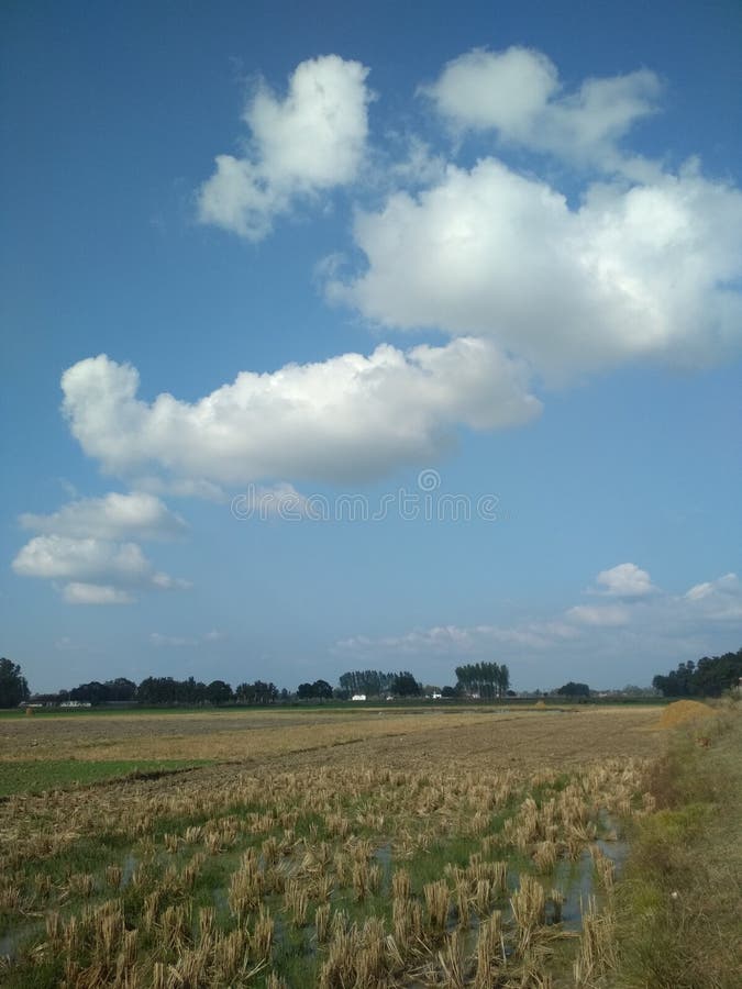 Open field bright sky stock photo. Image of bright, cloud - 191600348