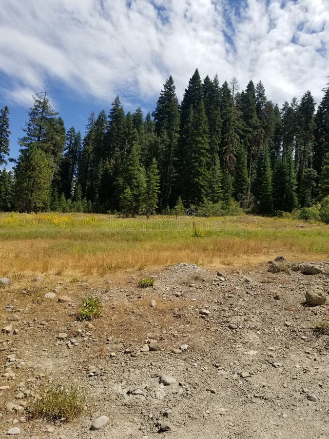 Open Field in California Mountains Stock Image - Image of green, open ...