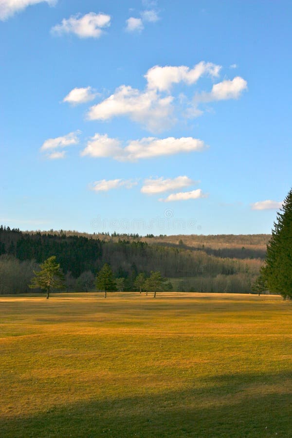 Open field stock photo. Image of meadow, blue, empty, summer - 110468