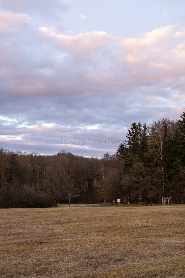 Open Field and Dense Forest Under Cloudy Sky Stock Photo - Image of ...