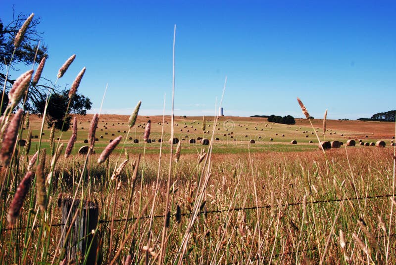 Open field stock image. Image of bales, spring, paddock - 43254907