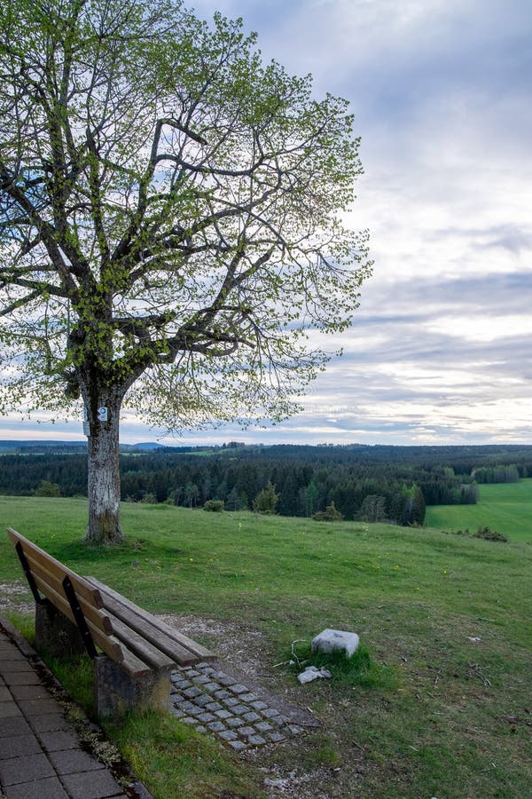 From the Camera S Perspective, the Scene Unfolds a Captivating View ...