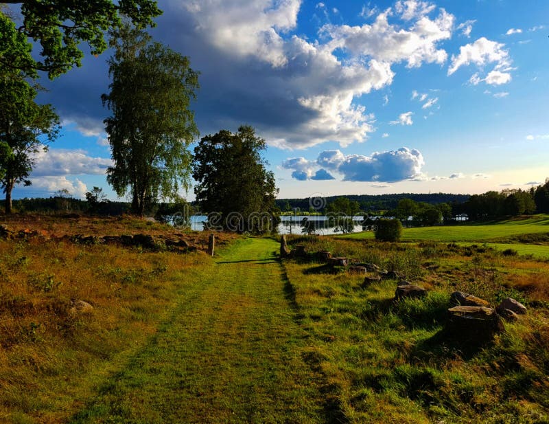 Open field stock photo. Image of fields, green, nature - 104845140