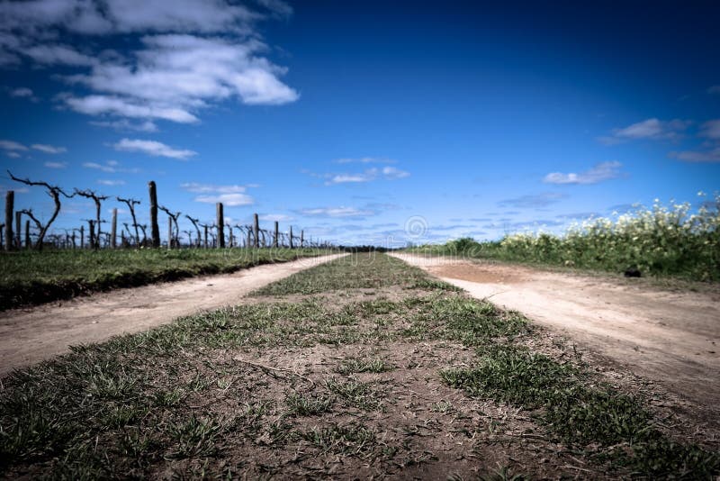Open field stock image. Image of plantation, yard, angle - 42701325