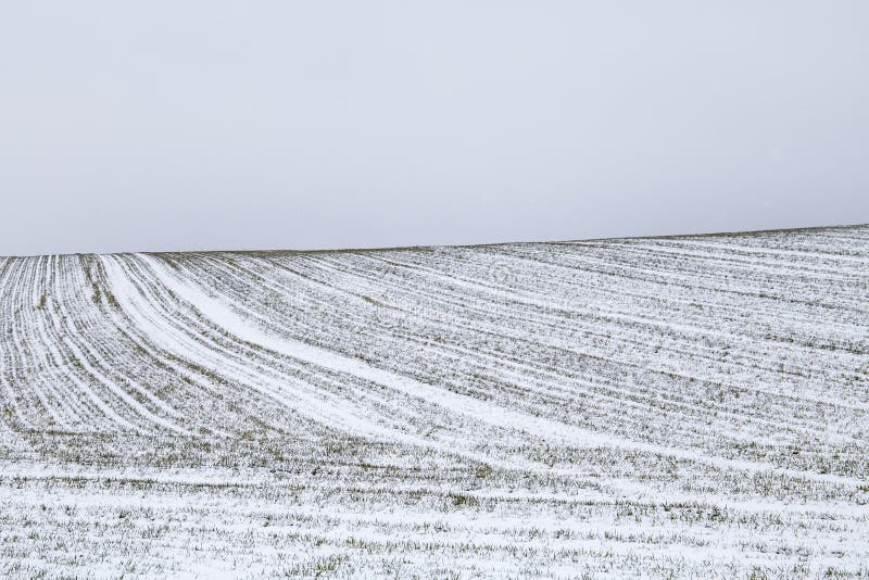 Open Field Winter Landscape with Curvy Field and Grey Sky Stock Photo ...
