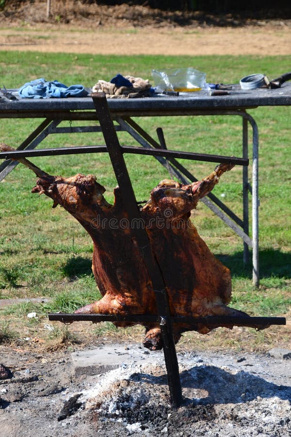 A Lamb Being Cooked on an Open Fire BBQ Stock Photo - Image of survival ...
