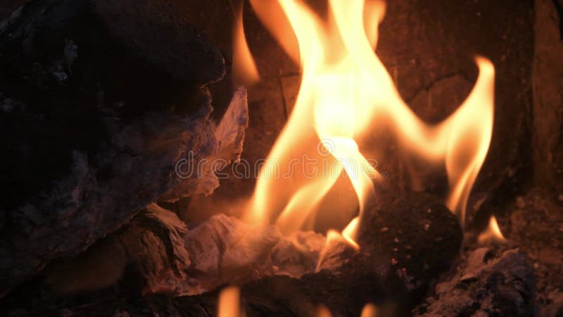 Open Fire Burning in Campfire at Evening Outdoor. Close Up. Stock ...