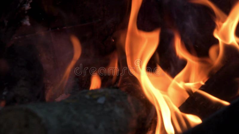 Open Fire Burning in Campfire at Evening Outdoor. Close Up. Stock ...