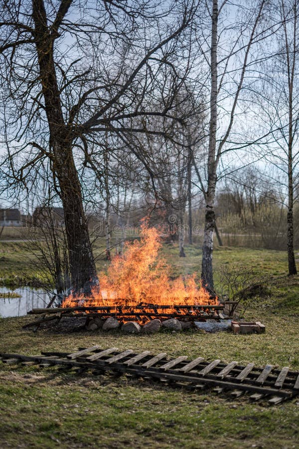 Open Fire Burning Logs in Field with Green Grass Stock Image - Image of ...