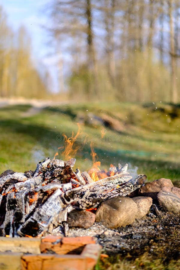 Open Fire Burning Logs In Field With Green Grass Stock Image - Image of ...