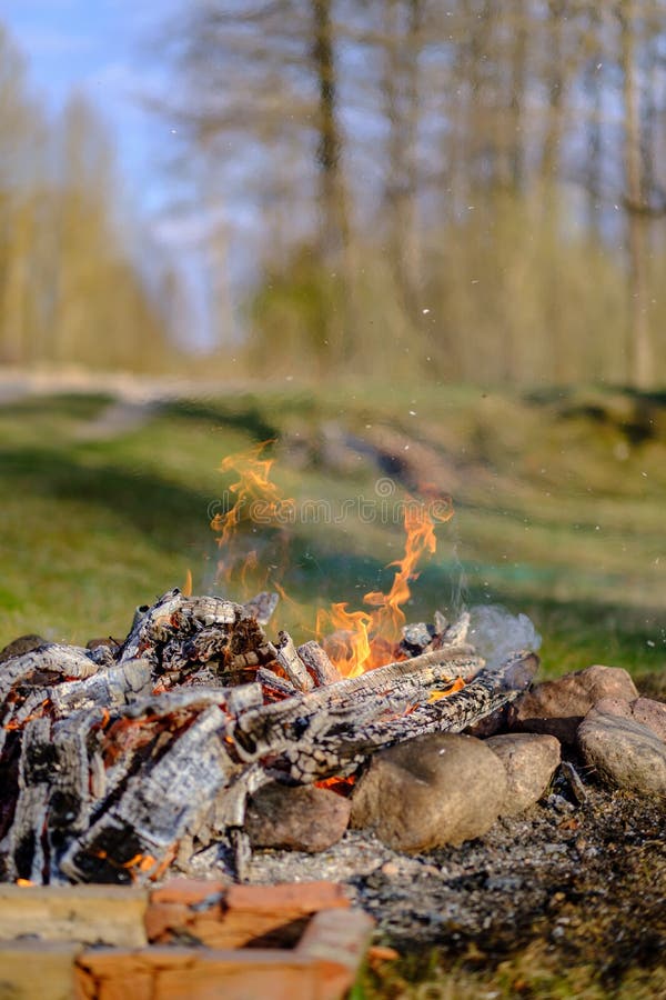 Open Fire Burning Logs in Field with Green Grass Stock Image - Image of ...