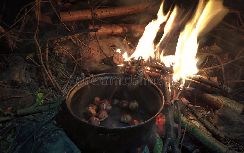 Cooking at Night at Campground Stock Photo - Image of lifestyle, burn ...