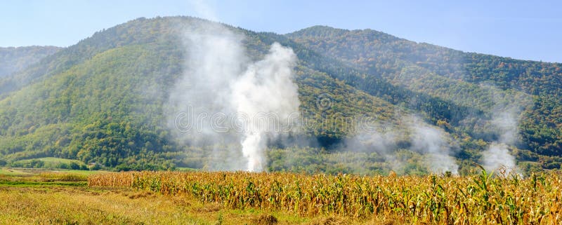 Open Fire in the Corn Field Stock Photo - Image of disaster, cornfield ...